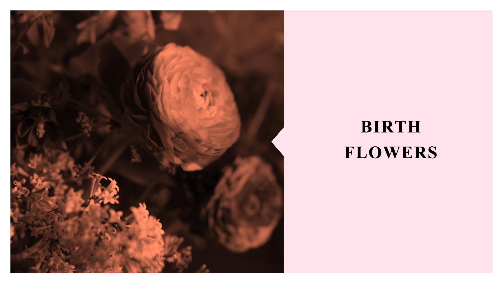 Birth Flowers by Month: The Complete Guide