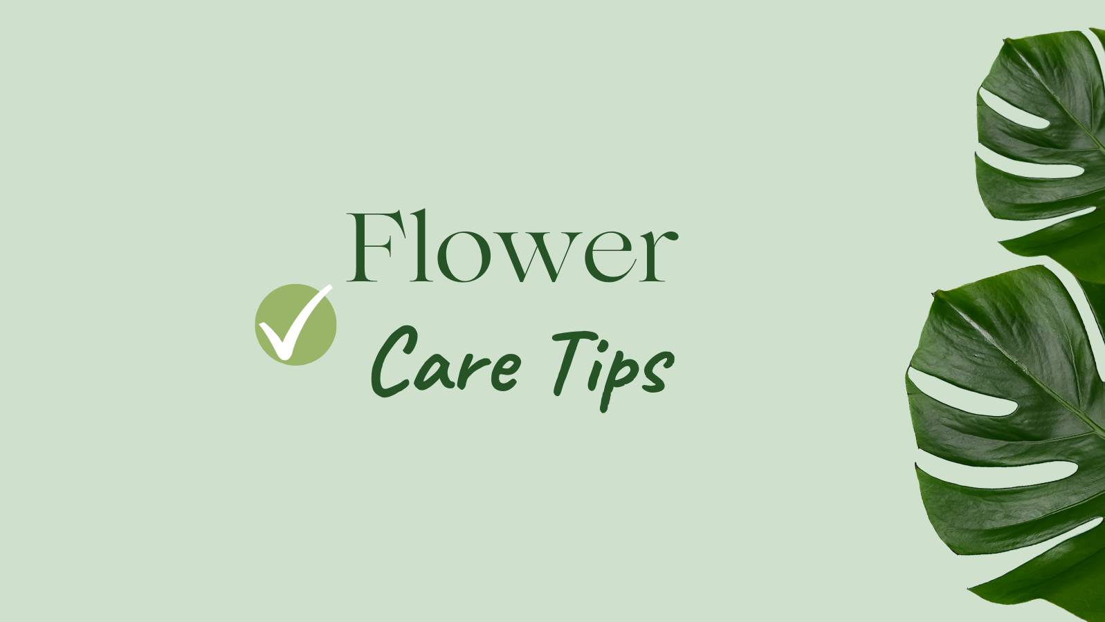 The Ultimate Guide to Flower Care: Tips & Tricks