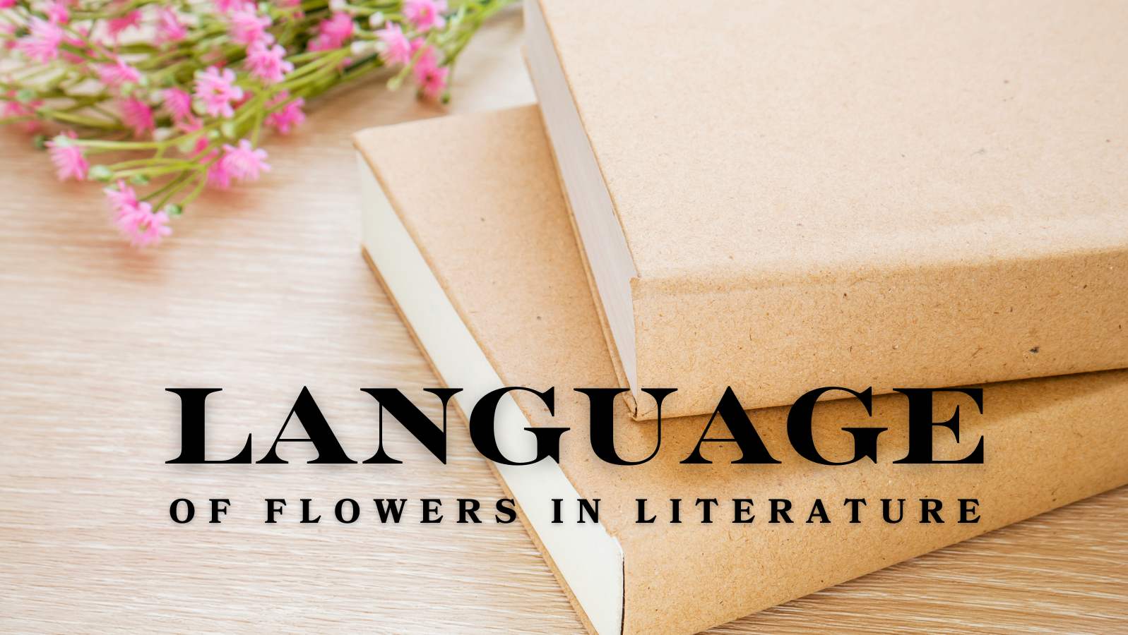 The Language of Flowers (And What People *Really* Mean)