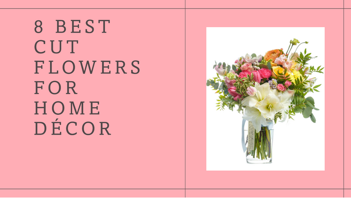 8 Best Cut Flowers for Home Décor - By Lily's Florist